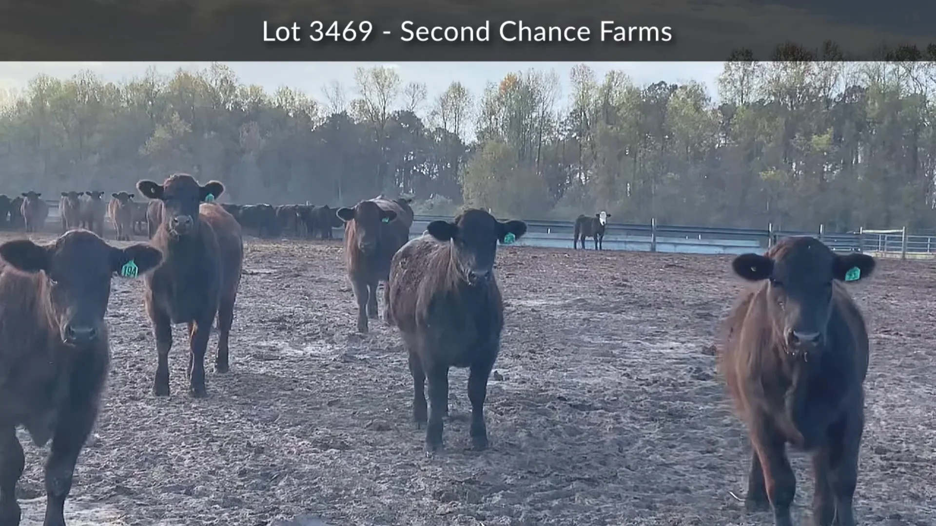 3469-Second Chance Farms on Vimeo