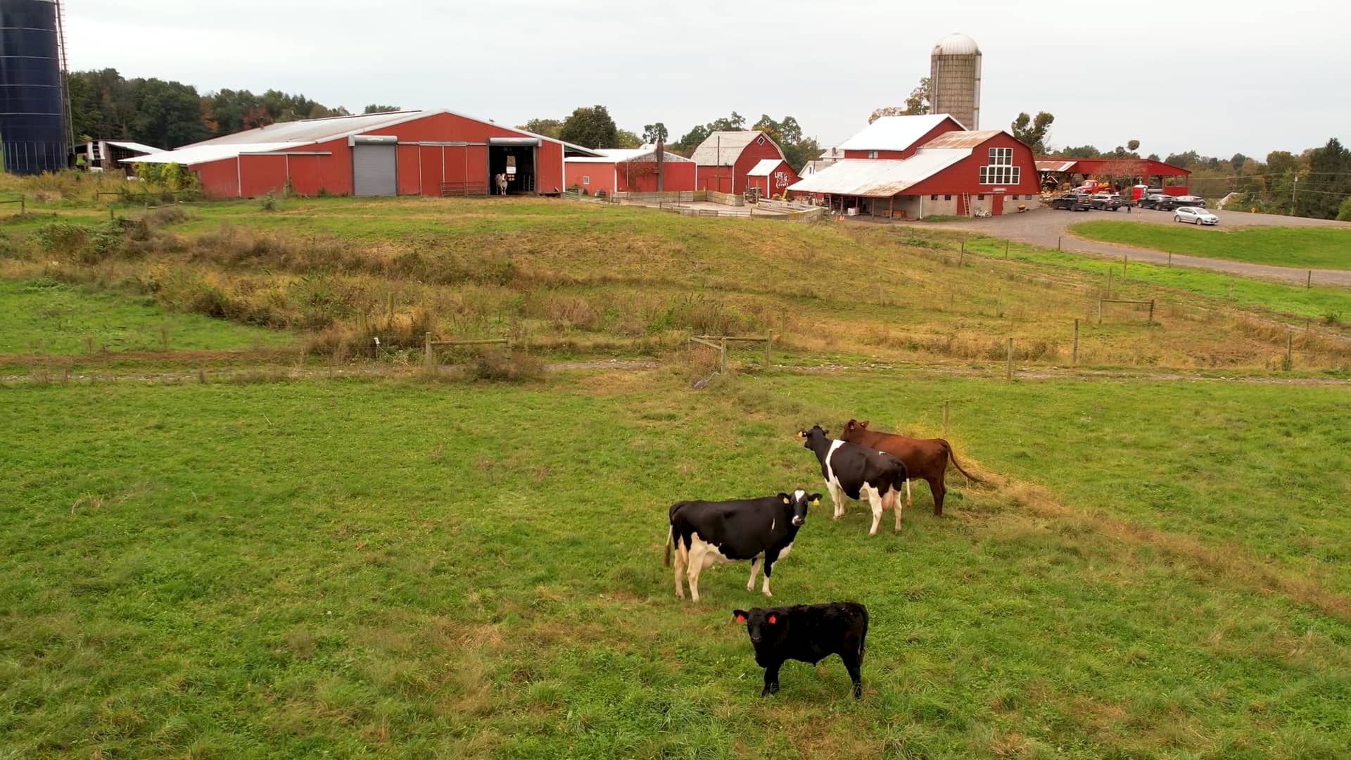 Tiashoke Farm, Upstate New York on Vimeo