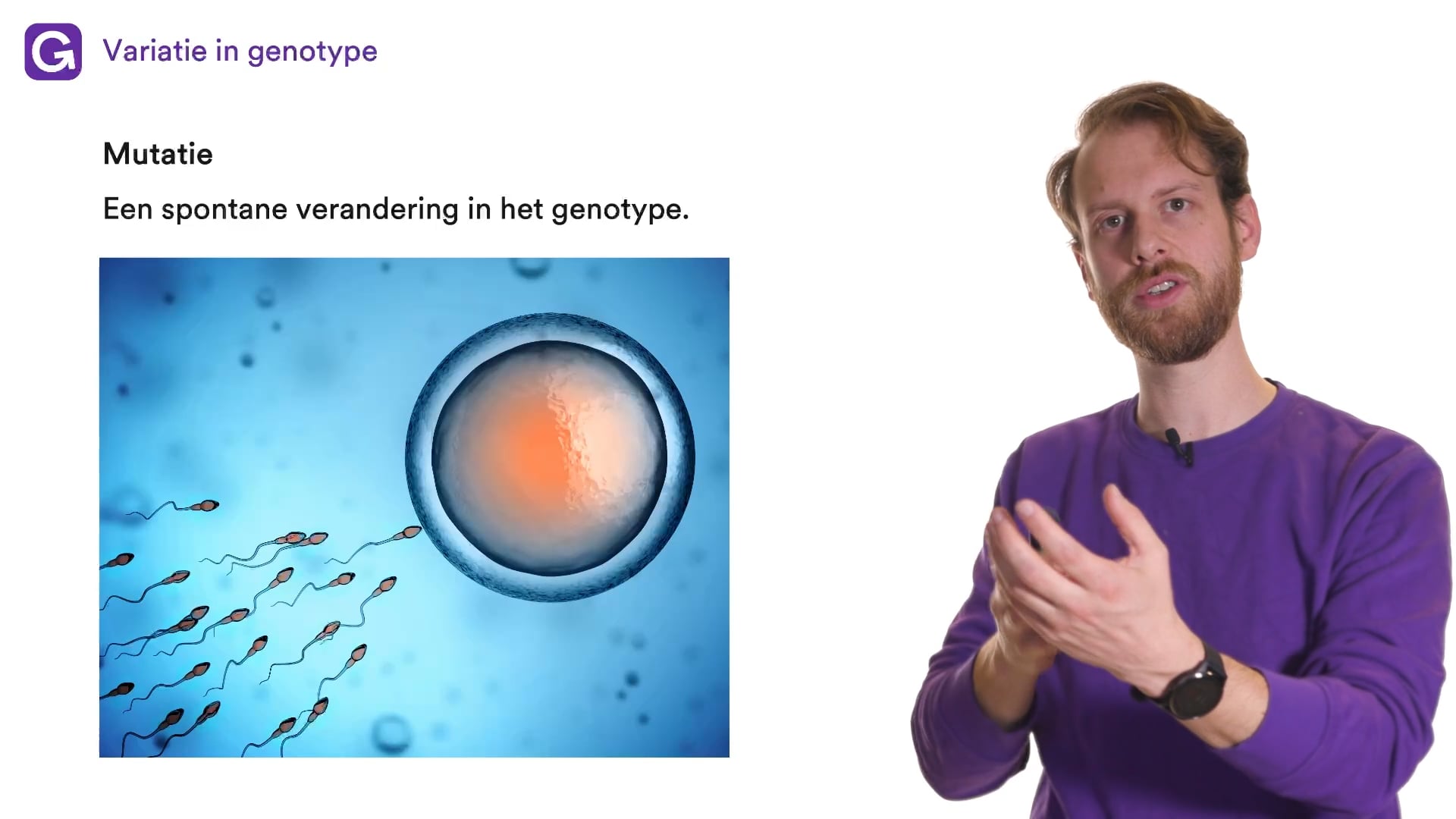 Oefen met Erfelijkheid en evolutie uit Biologie voor jou / bvj – 3 vmbo ...