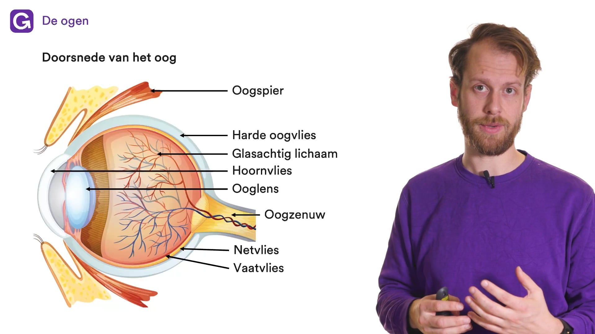 De iris en de ooglens oefenen | StudyGo