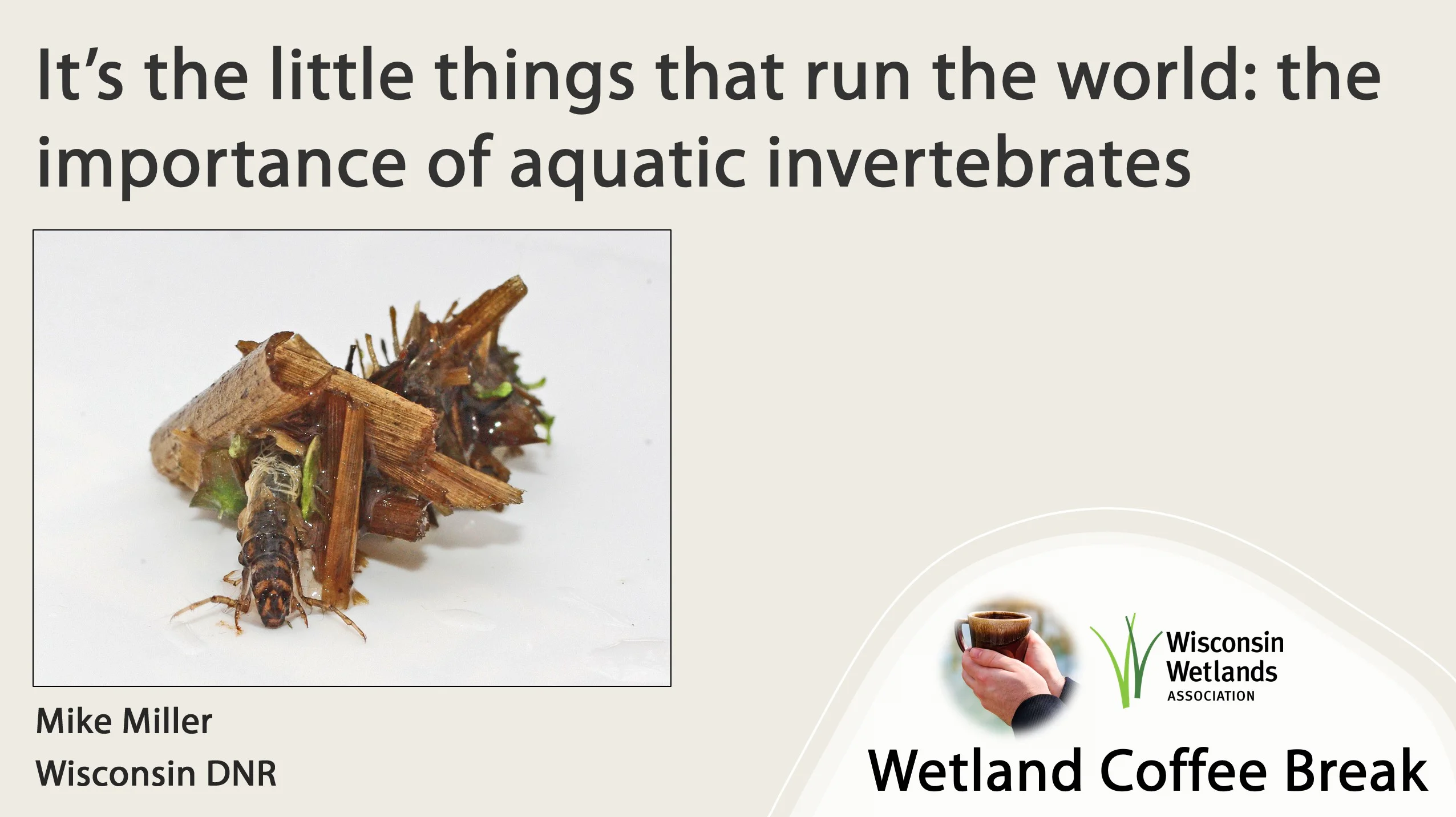 It’s the little things that run the world: the importance of aquatic ...