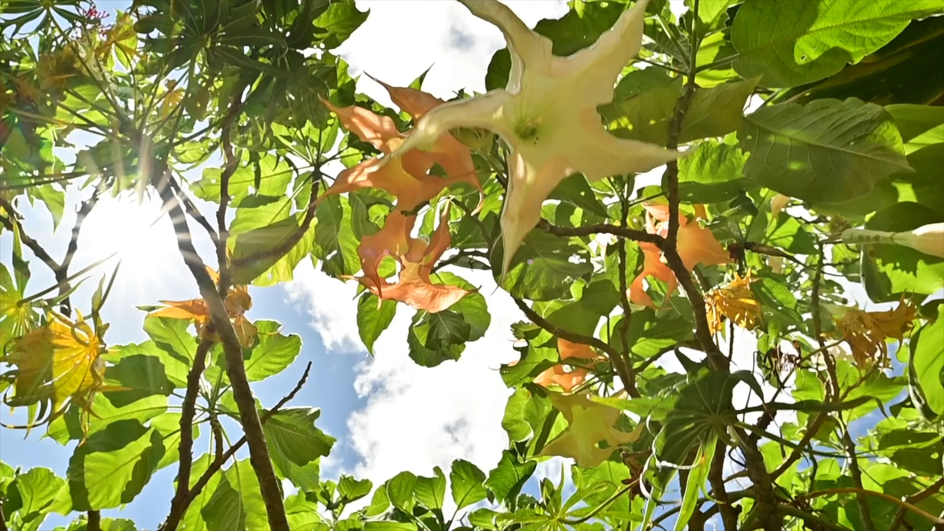 Mahina Surf 202 on Vimeo