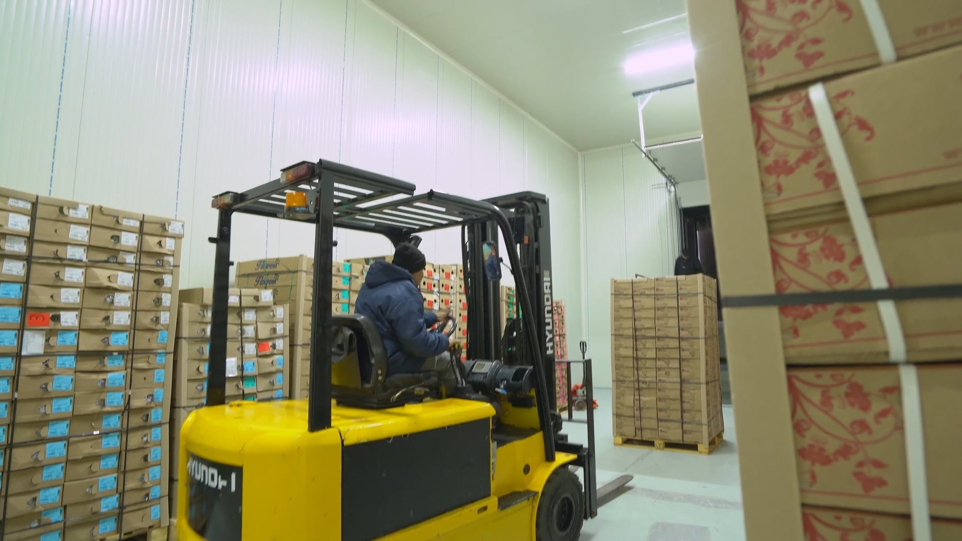 HOME [forestlogistics.co]