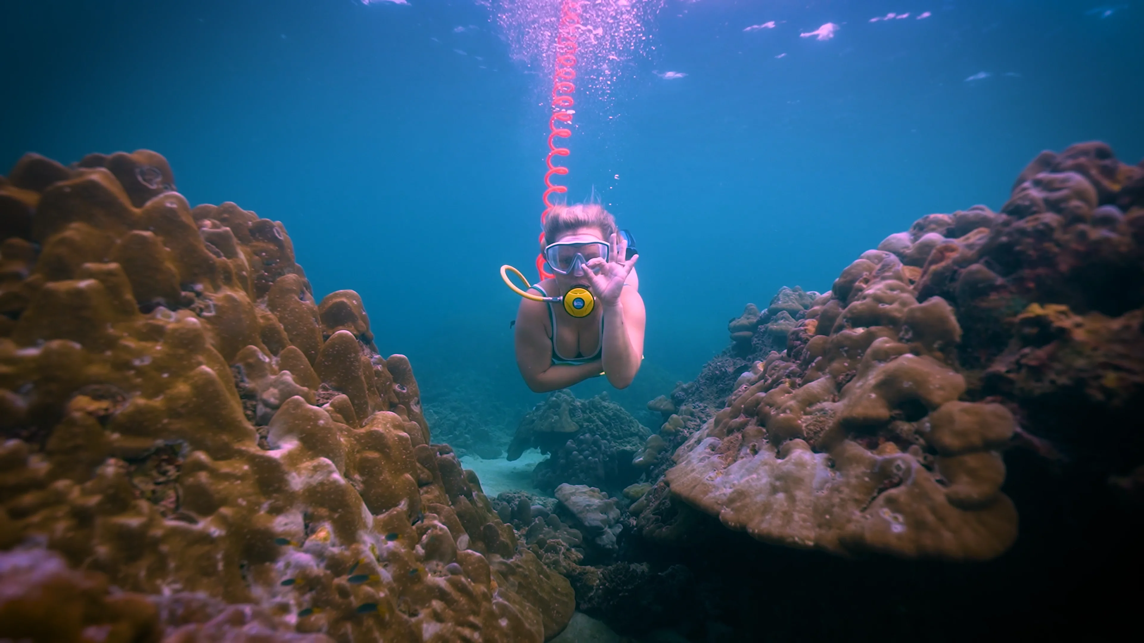 Yelena Dive Buddy on Vimeo