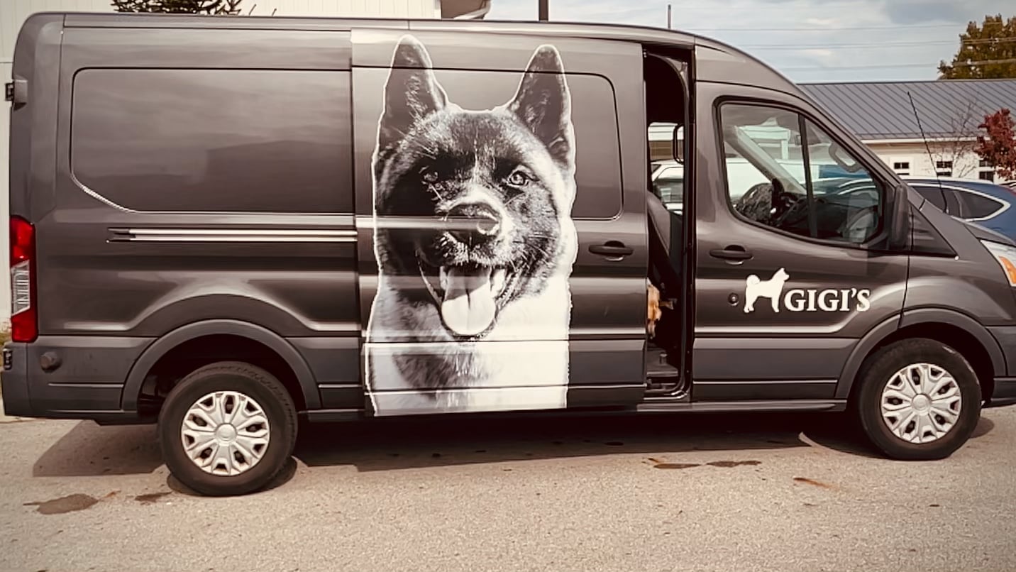 Gigi’s - Dogs, Adoption, Dogs, Animal Shelter