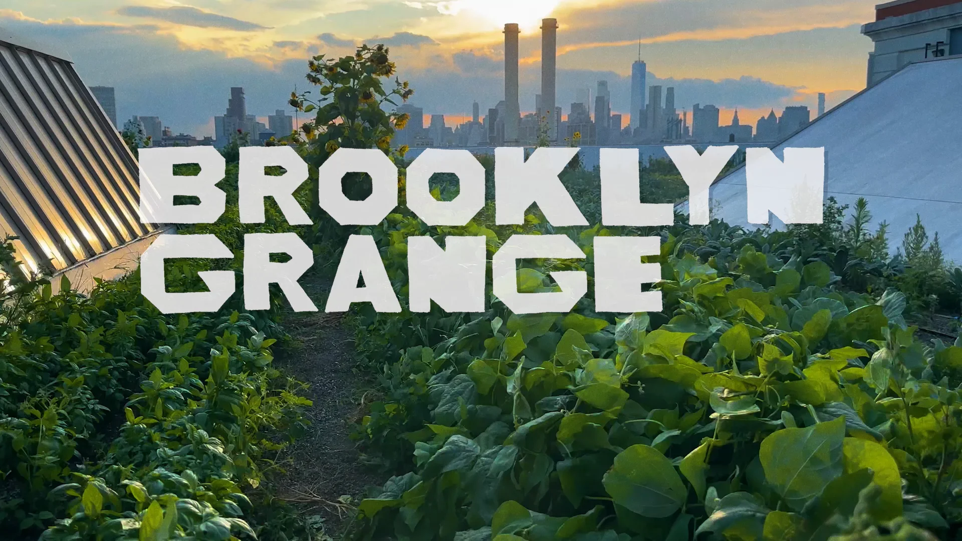 Brooklyn Grange BK Navy Yard - Equitable Food Distribution 2023