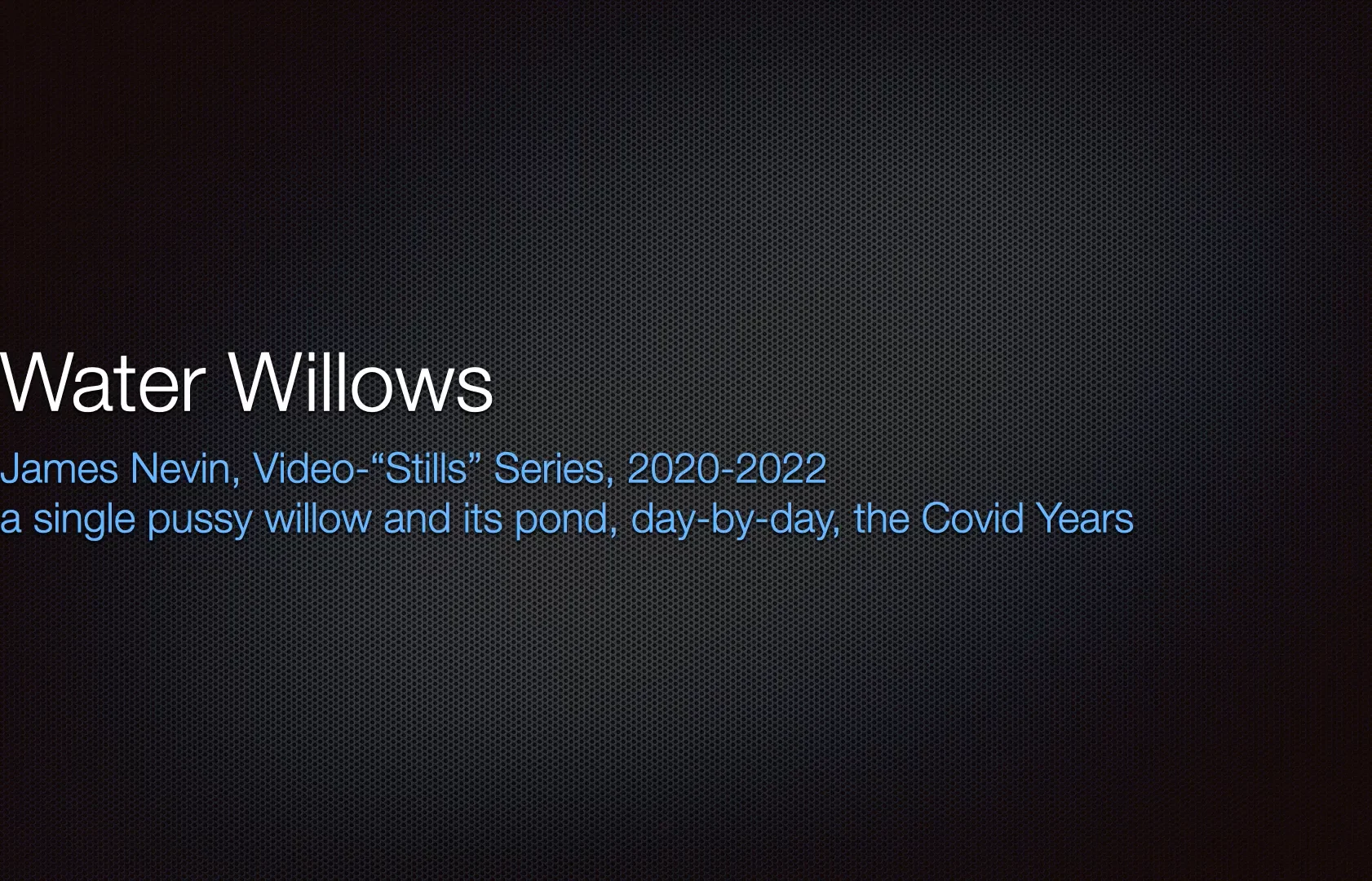 James_Nevin_Water-Willows-VideoStills-CovidSeries-2020-22 on Vimeo