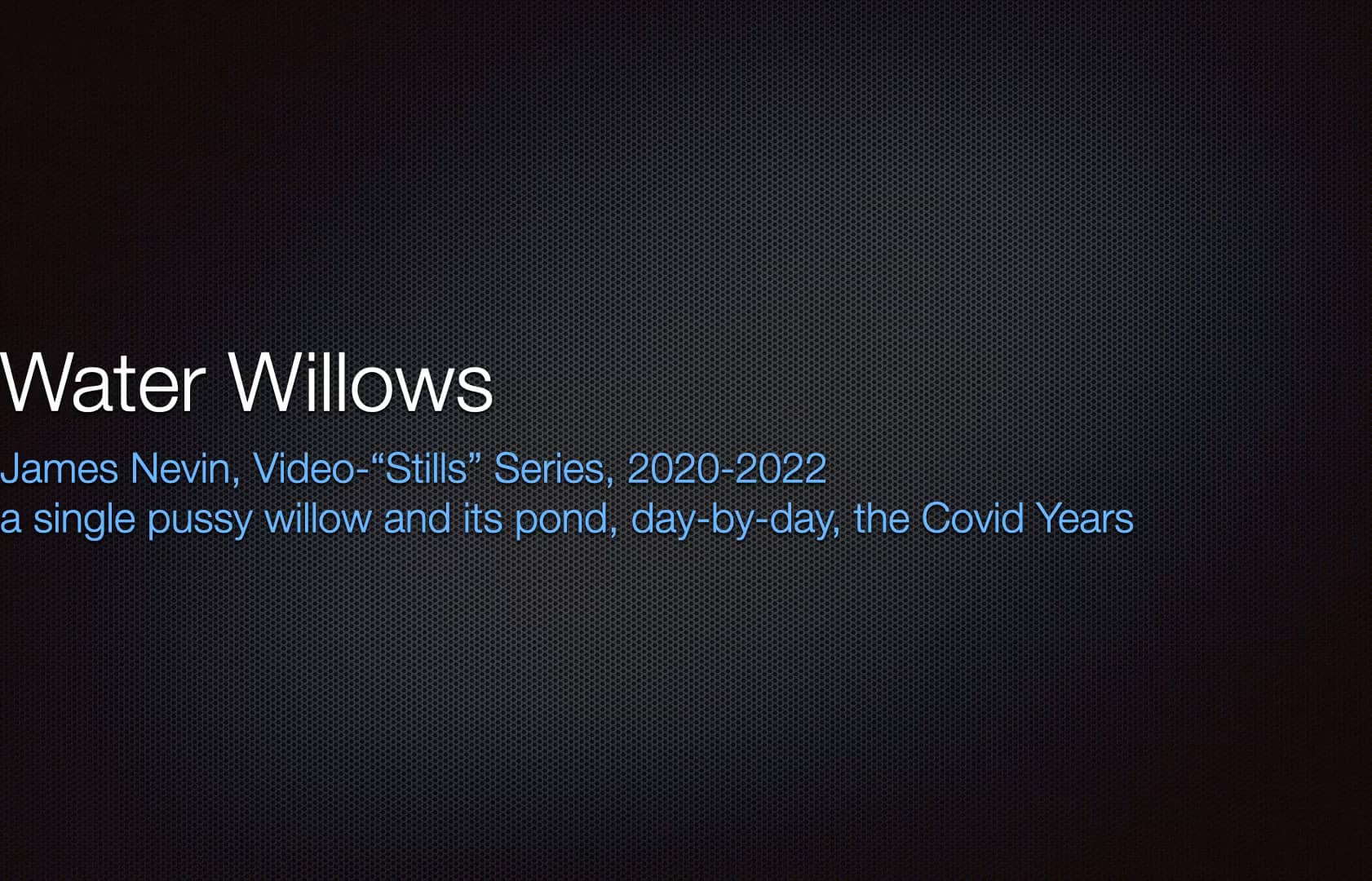 James_Nevin_Water-Willows-VideoStills-CovidSeries-2020-22 on Vimeo