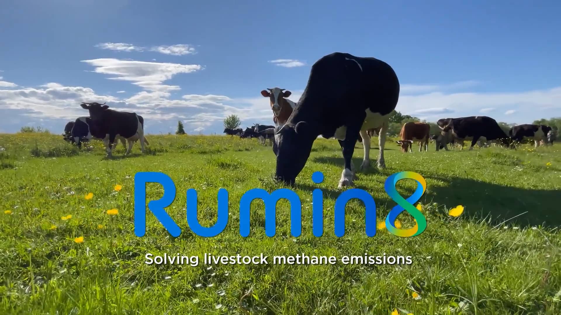 Rumin8 | Solving livestock methane emissions on Vimeo
