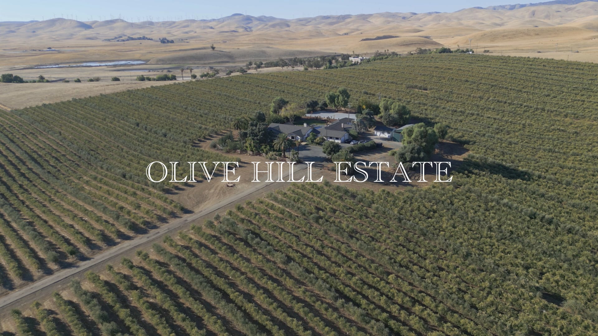 Olive Hill Estate