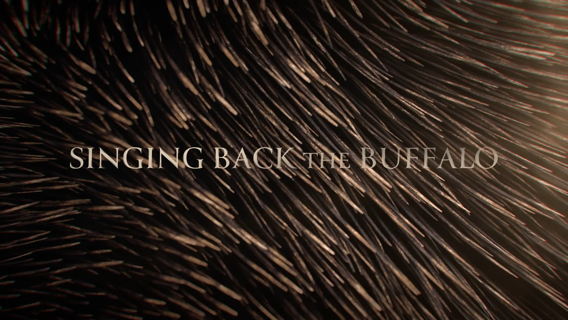 SBTB 2023-11-30_G22.mp4 on Vimeo