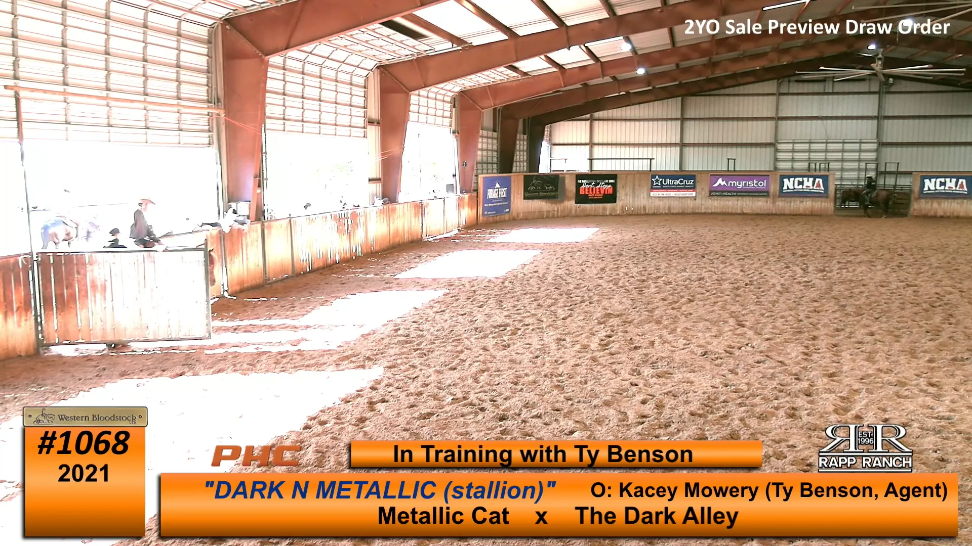 #1068 DARK N METALLIC RAPP RANCH 2YO WB SALE PREVIEW on Vimeo
