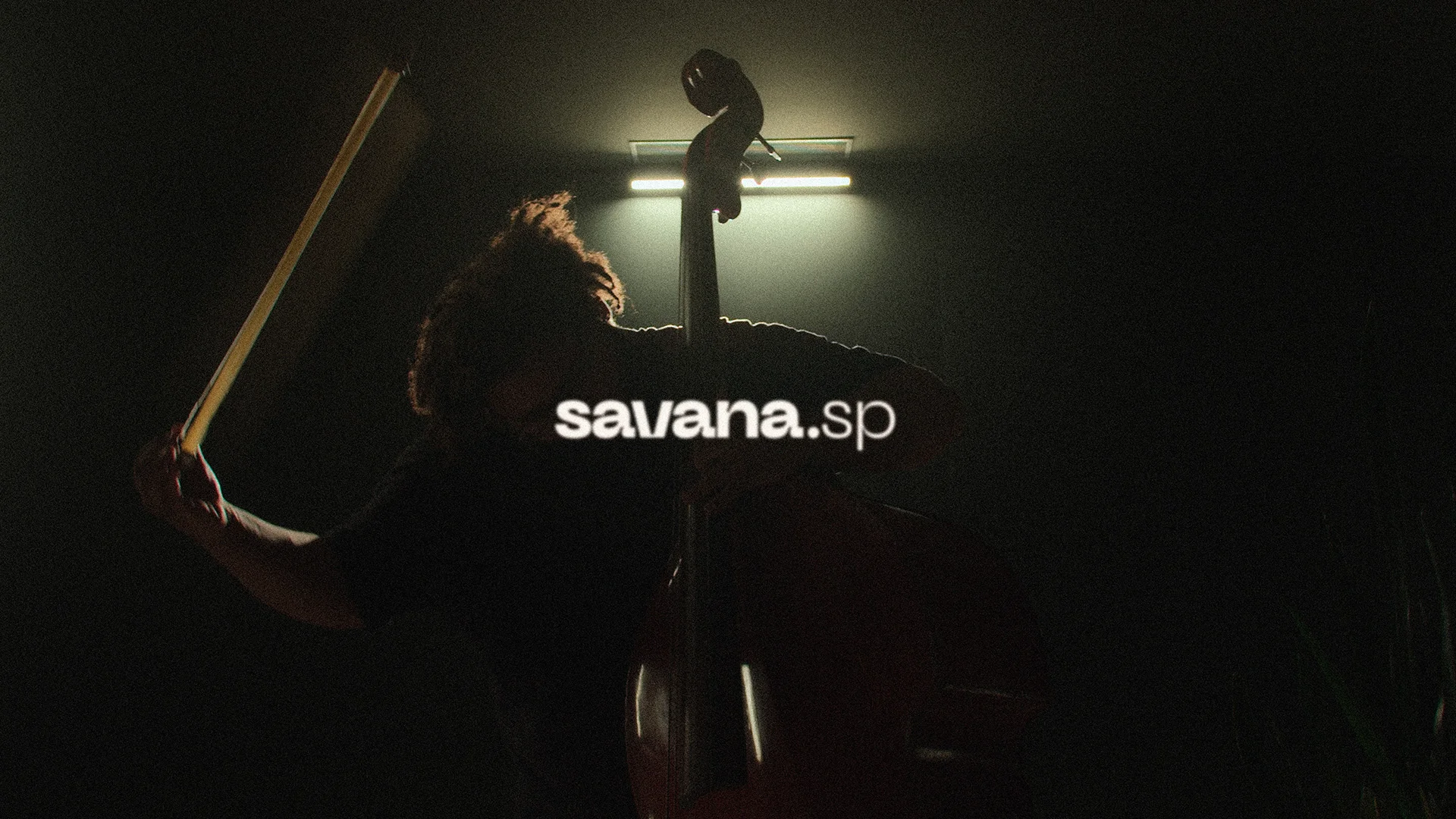 savana.sp — Webster on Vimeo