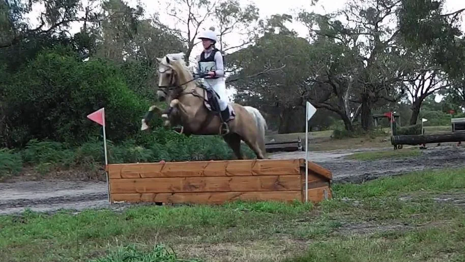 Chloe Benis riding Murraygold Jasmyn 166 EvA65 Tooradin EA Horse Trials ...