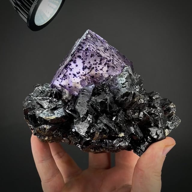 Fluorite on Sphalerite with radiation patterns | Elmwood Mine, Carthage ...