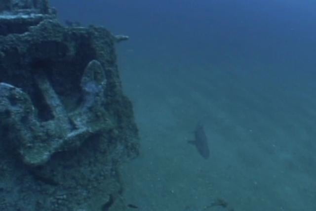 USS Tarpon SS-175 on Vimeo