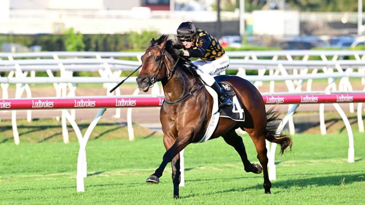 Inglis Digital Horse Of The Year - Zarastro - November 2023 on Vimeo