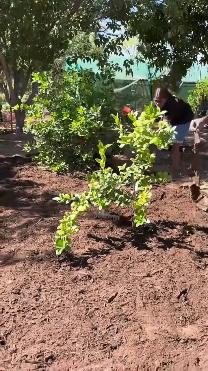 Yiyili_video-short on Vimeo