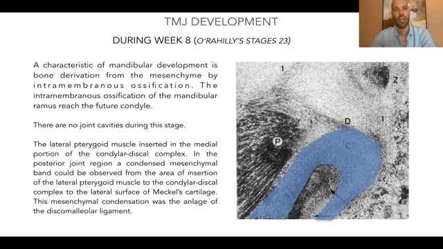 Webinar on temporomandibular joint embryology, histology