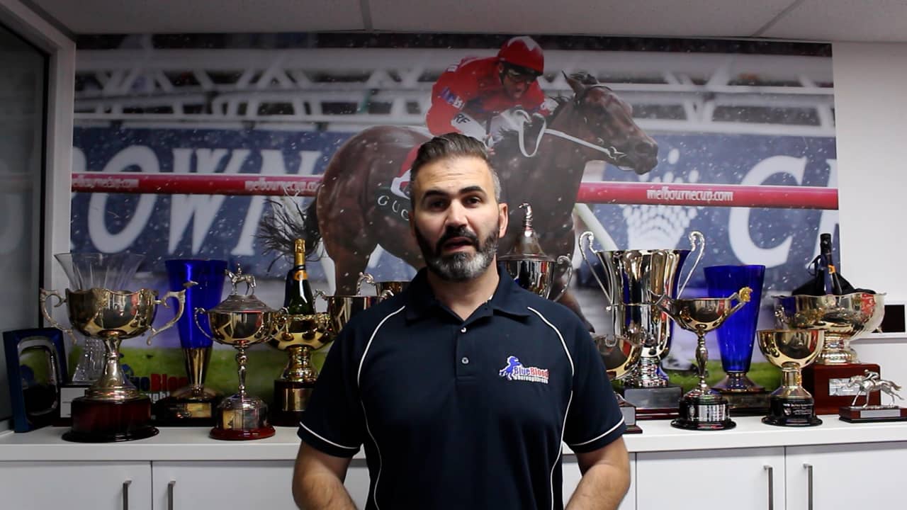 BBT Stable News - David Mourad - 6th December 2023 on Vimeo