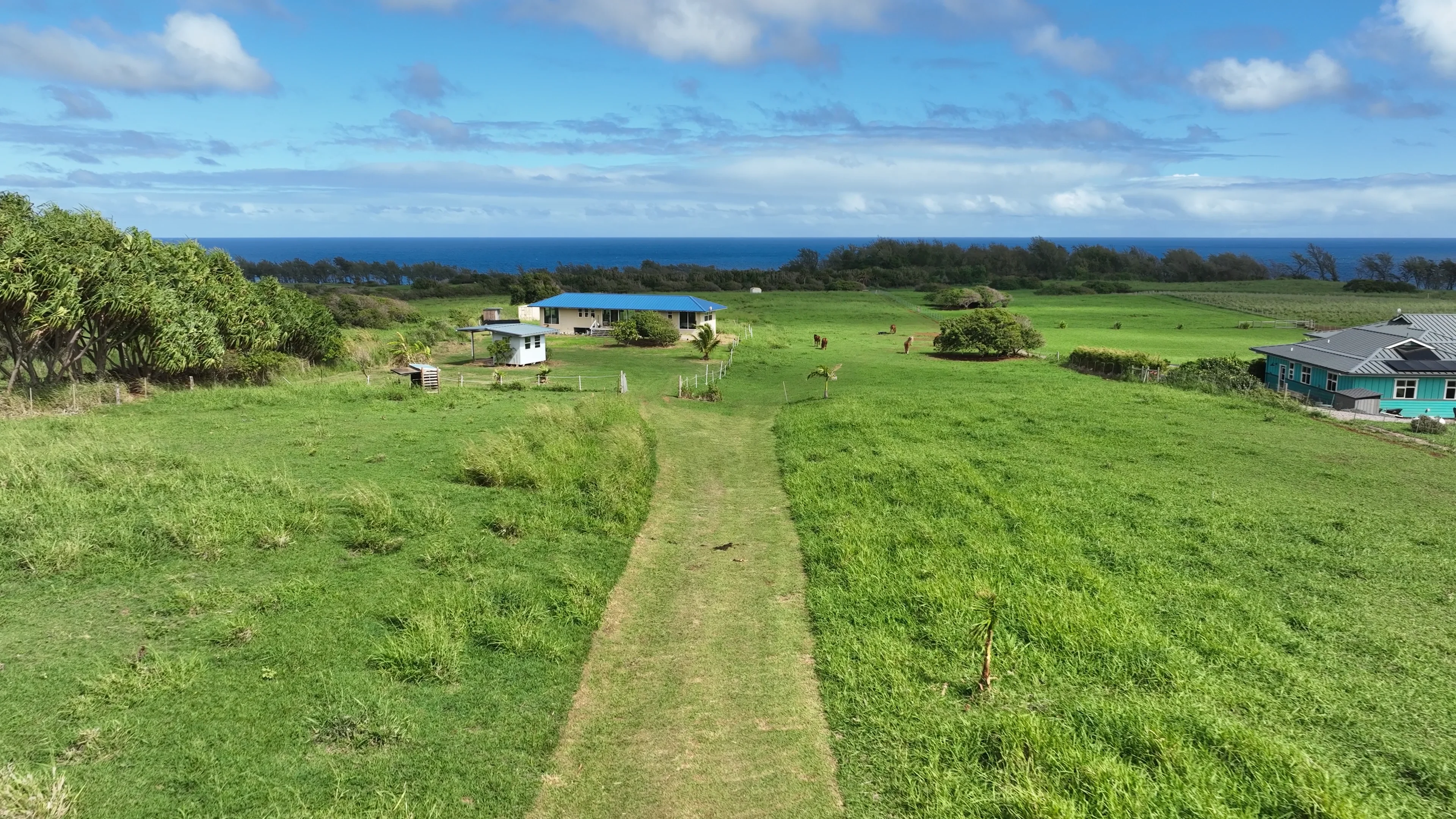 Kohala, Hawaii - Kahuapaa on Vimeo