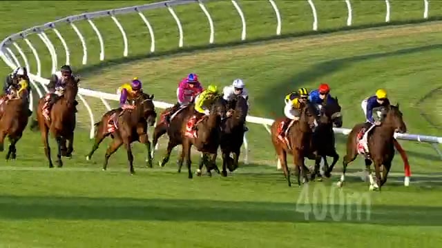 Lean Mean Machine - Stallion | Breednet