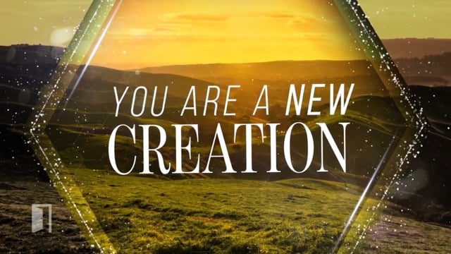 Worship Video: New Creation - Church Visuals