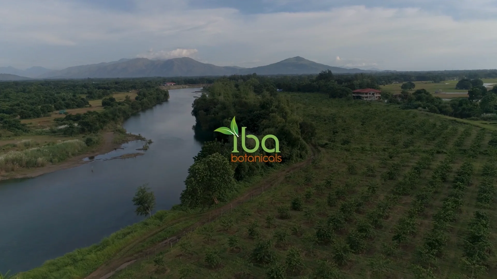 Iba Botanicals Pioneering a Philippines Botanical Industry