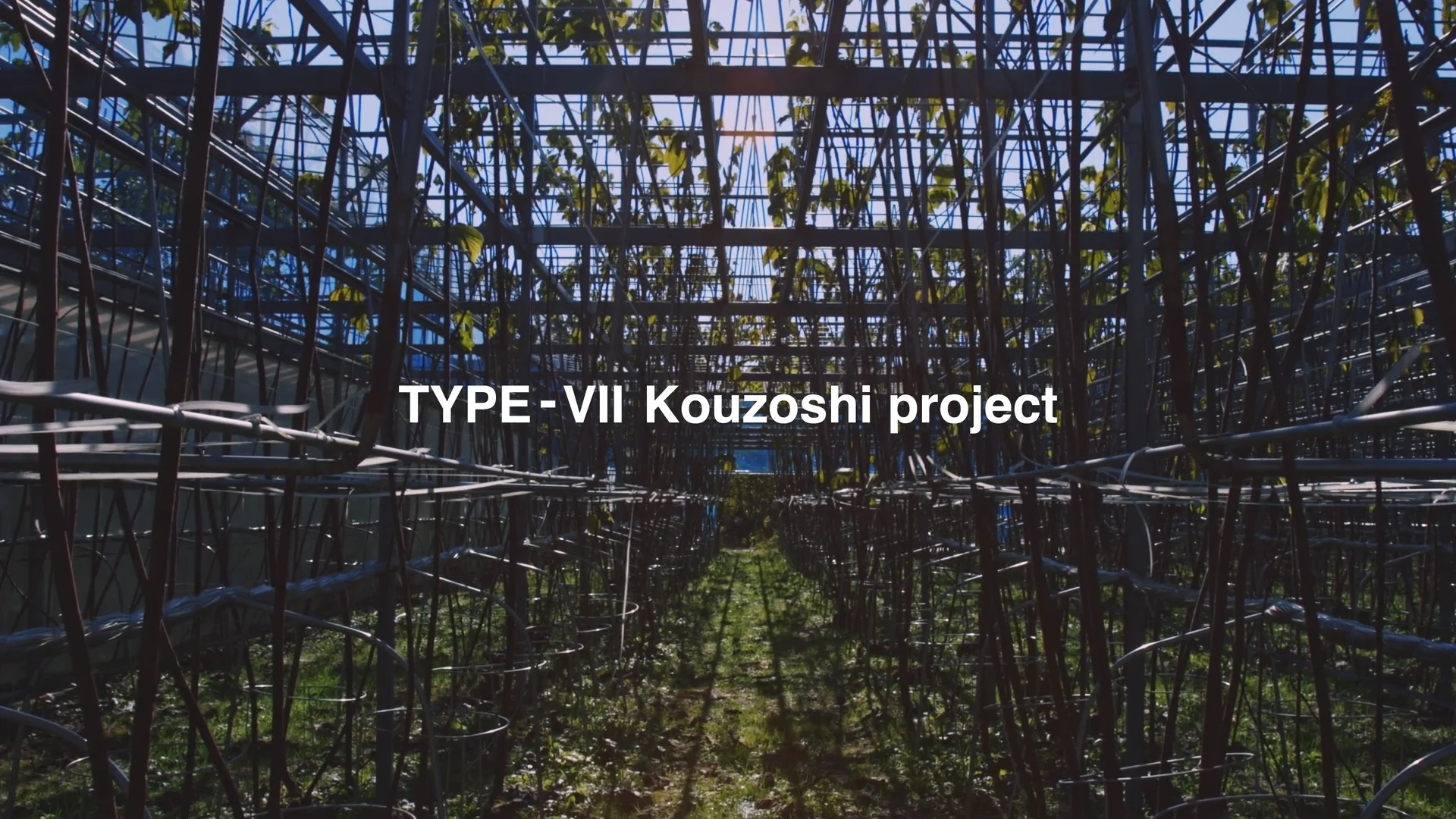 A-POC ABLE ISSEY MIYAKE ブランドについて PROJECT TYPES TYPE A-POC ABLE ISSEY MIYAKE ブランドについて PROJECT TYPES TYPE