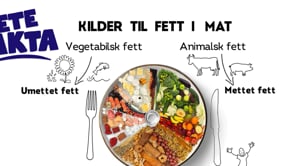 Grunnleggende om fett | Fetefakta.no | Et undervisningsopplegg om fett