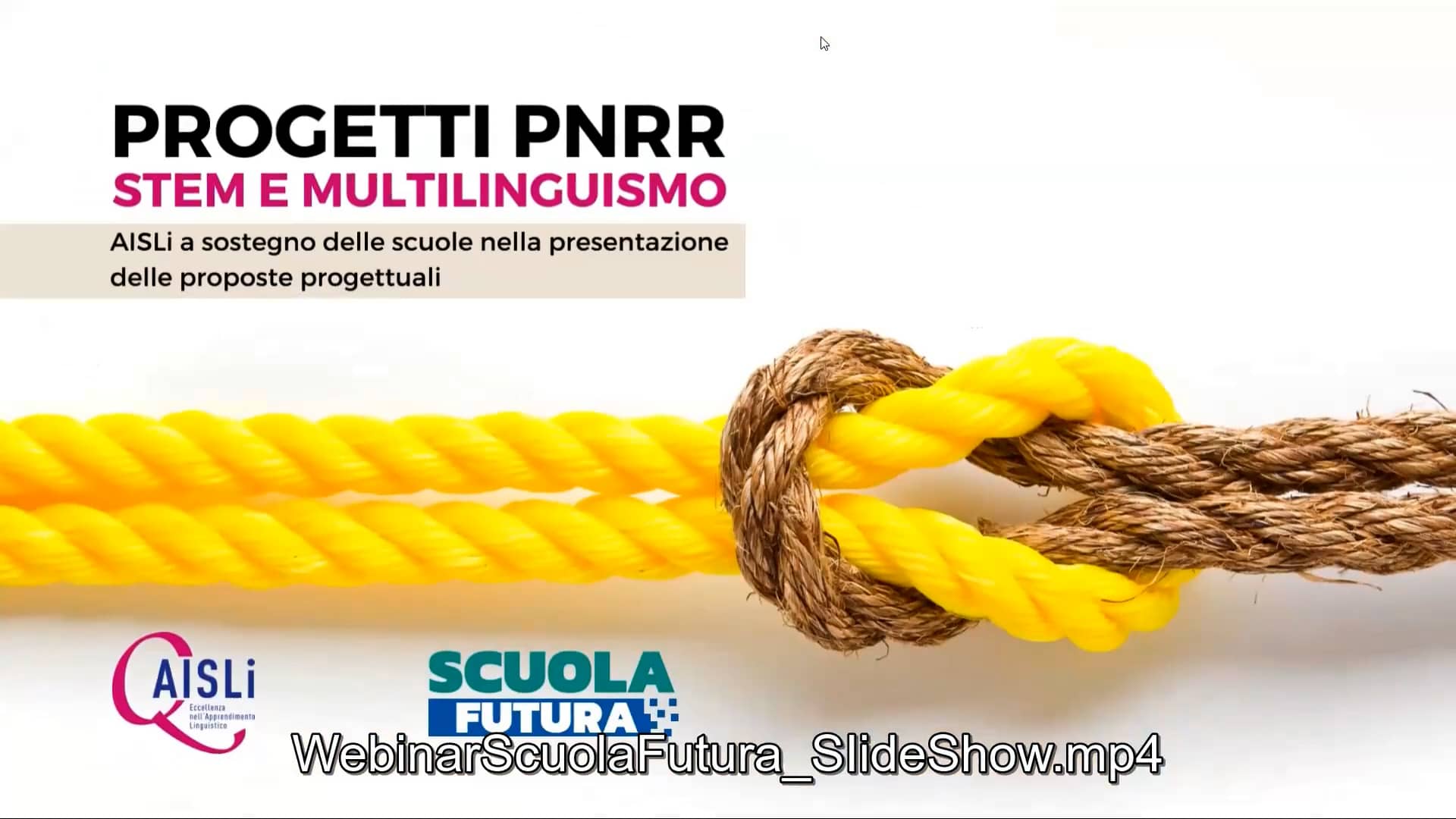 Progetti PNRR. STEM e Multilinguismo - Webinar AISLi on Vimeo