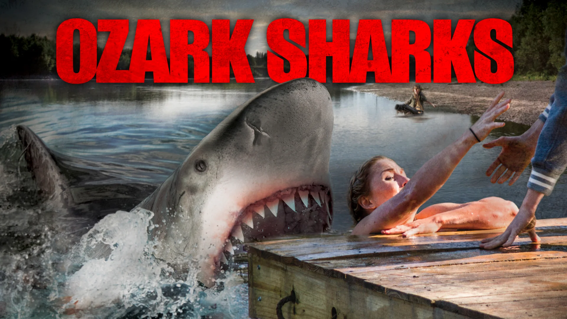 Ozark Sharks - Trailer on Vimeo