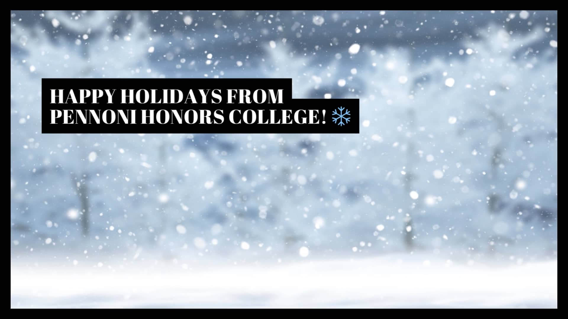 Happy Holidays from Pennoni Honors College! ️ on Vimeo