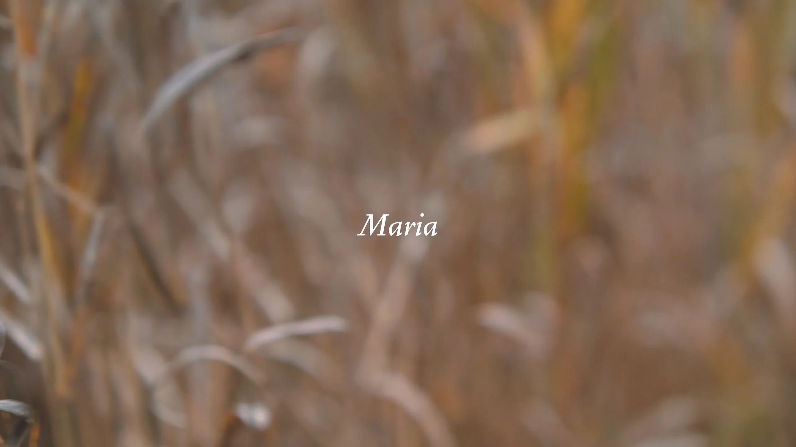 Maria on Vimeo