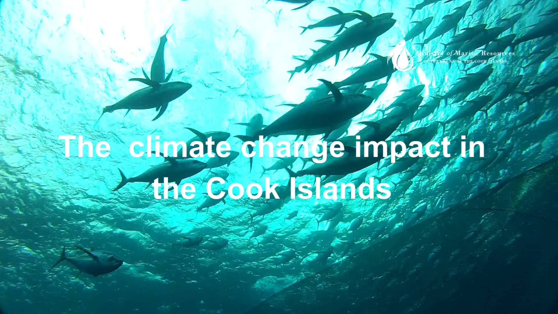 The impact of Climate Change in Cook Islands fisheries on Vimeo