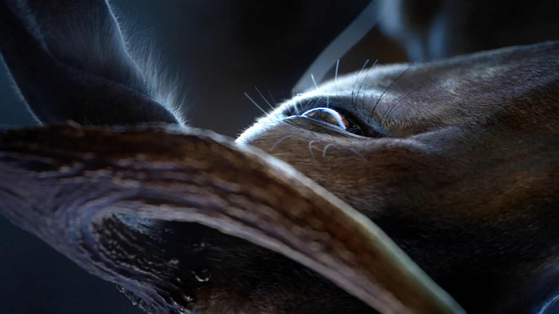 CGI Deer // Prism Film on Vimeo