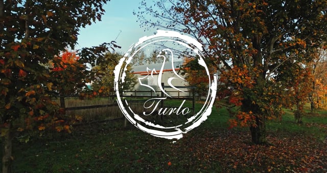 Turlo | Productions Optimales