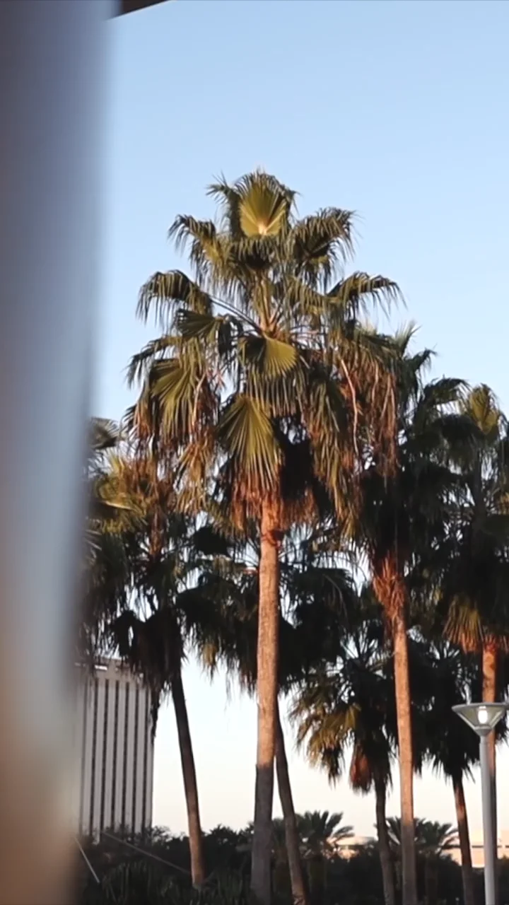 Message from Industry-Legend-Larry Raskin