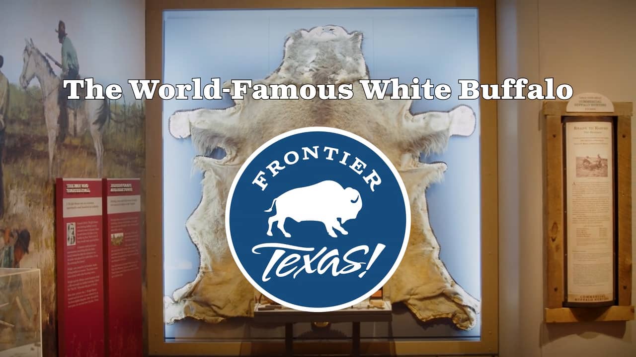 The World Famous White Buffalo on Vimeo