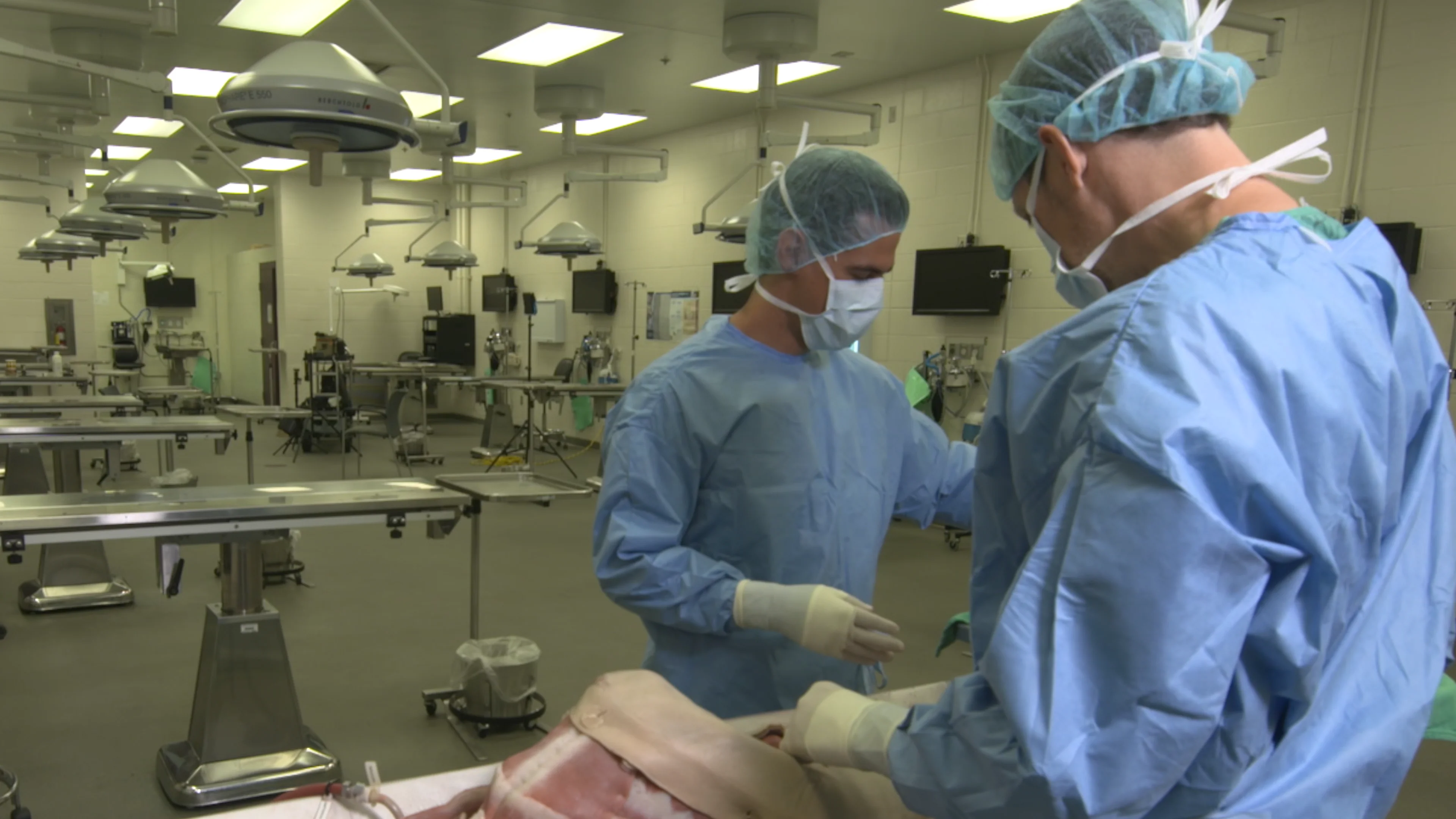 Surgery and the SynDaver Canine