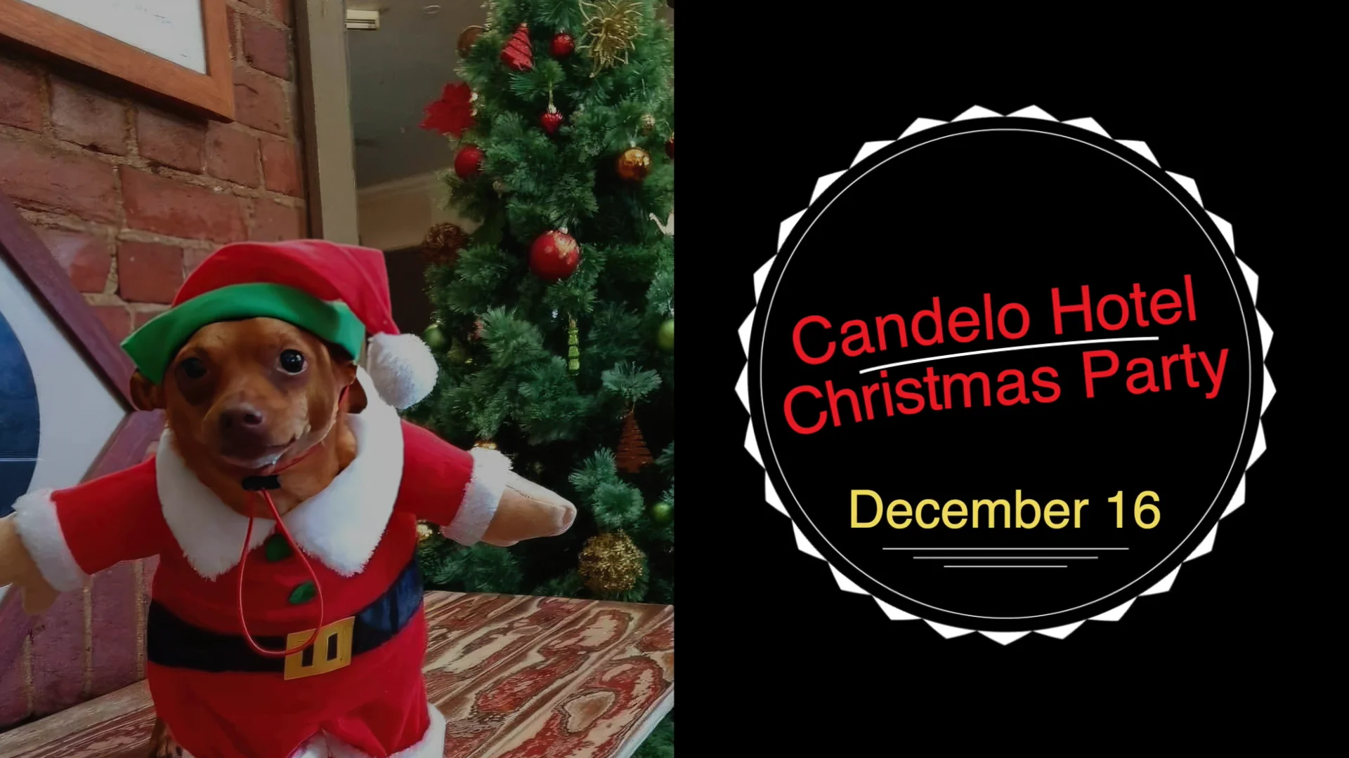 Candelo Pub Christmas Promo 23 on Vimeo