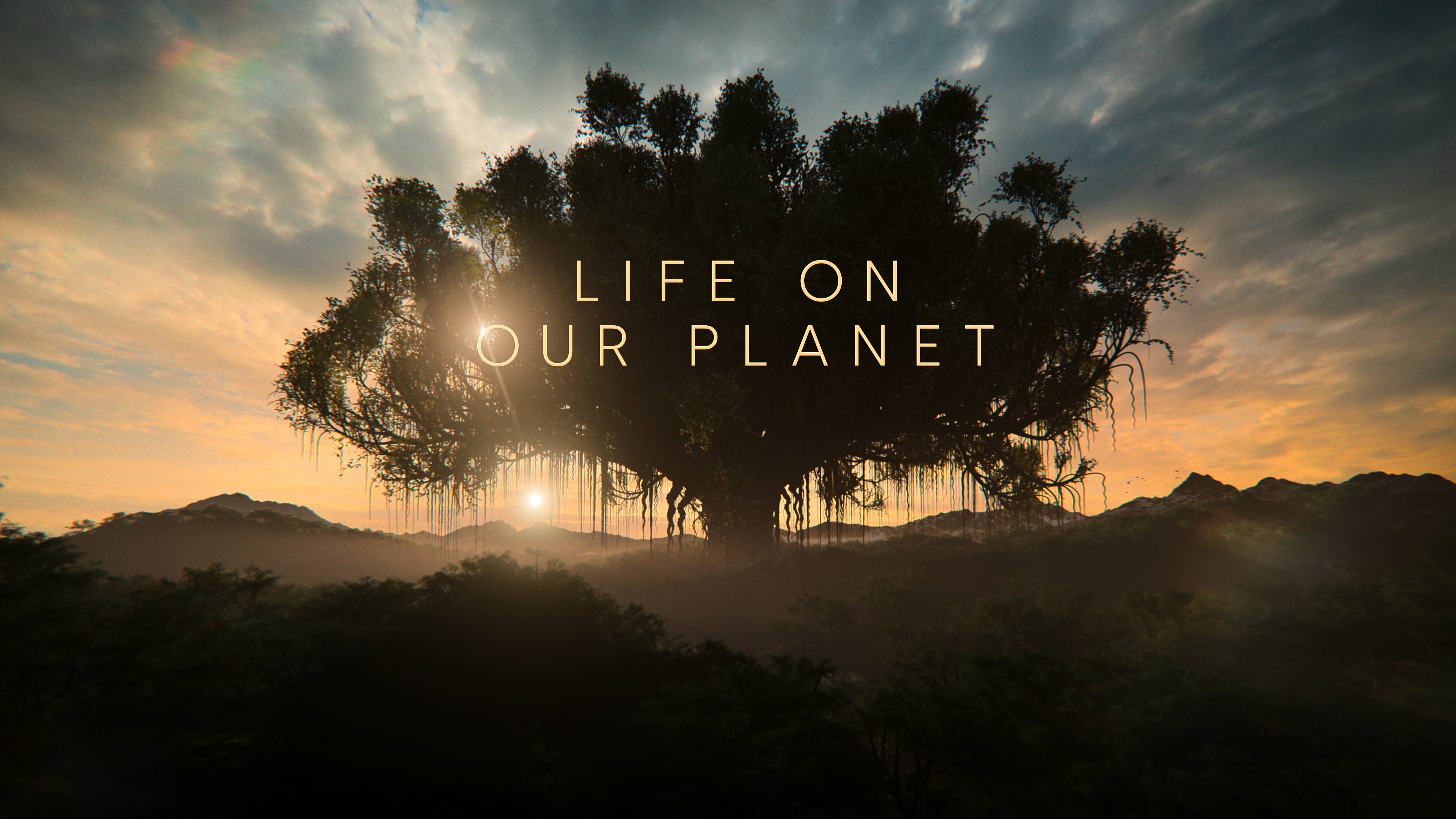 Life on Our Planet - Title Sequence | Videos & Movies on Vimeo