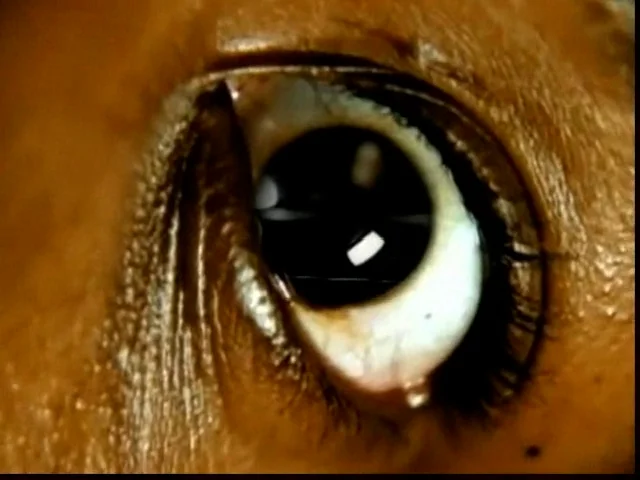 Outkast - Rosa Parks (Official Video) on Vimeo