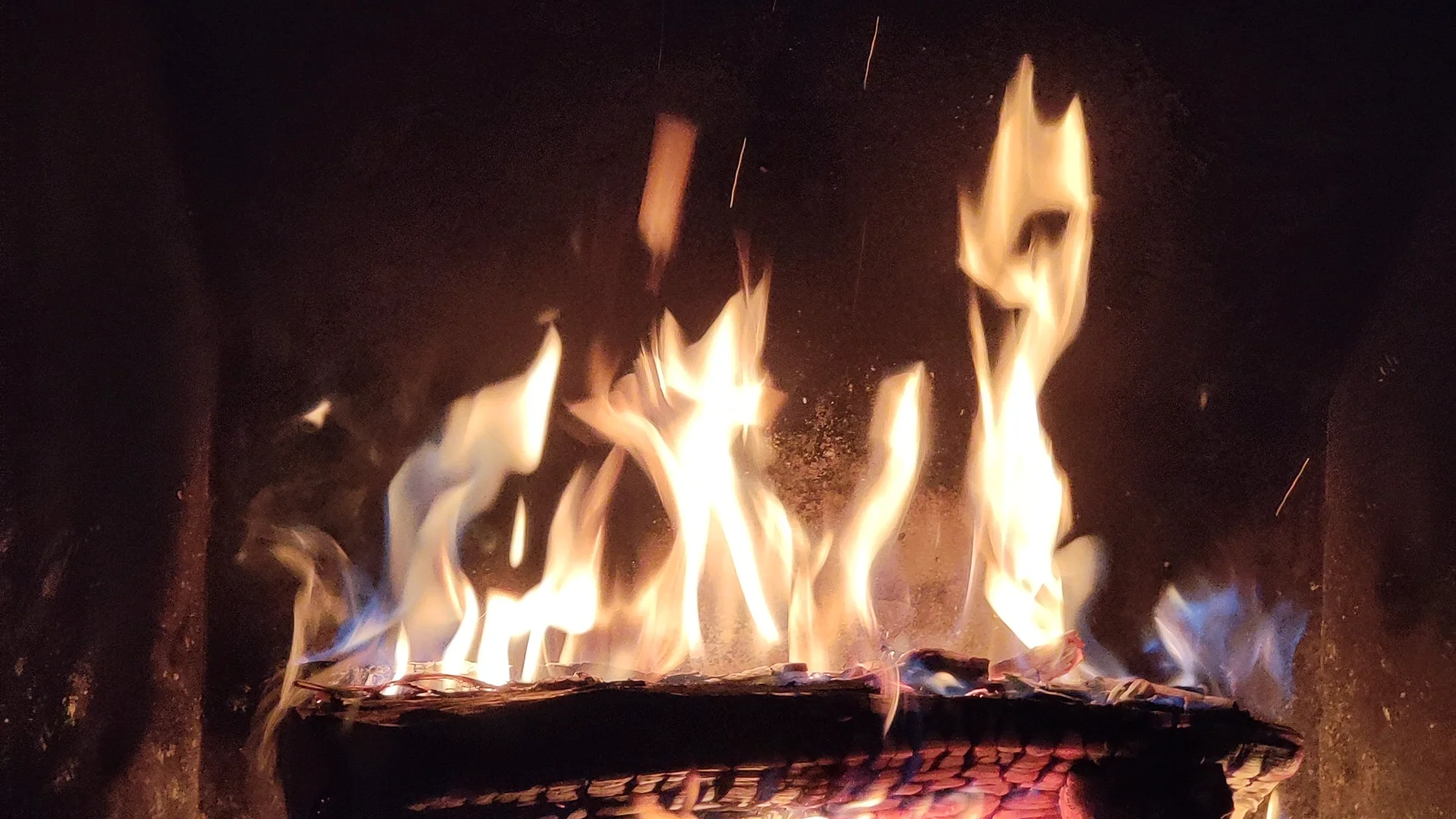 fire in place a holiday prognosis on Vimeo