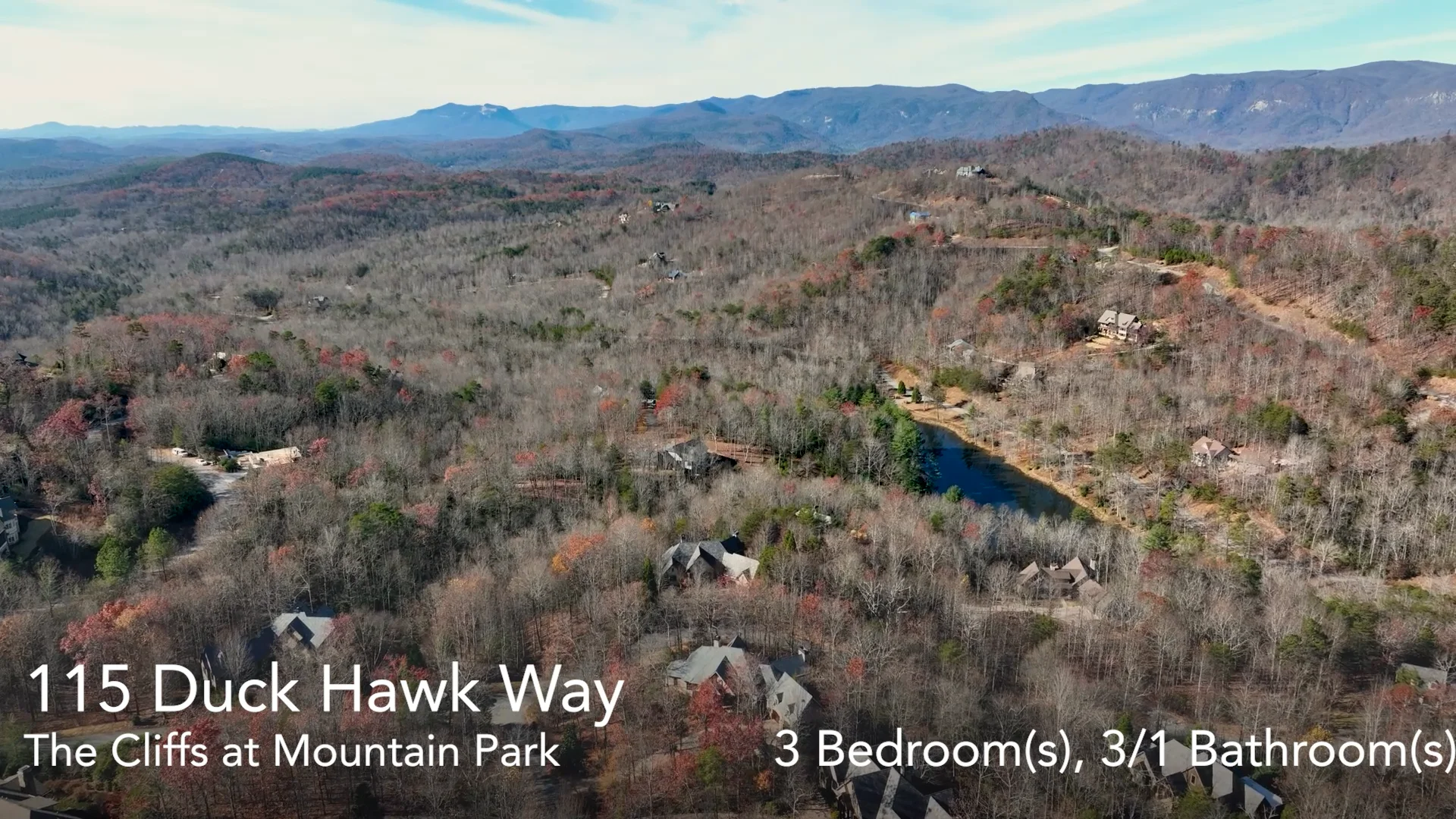 115 Duck Hawk Way - The Cliffs at Mountain Park
