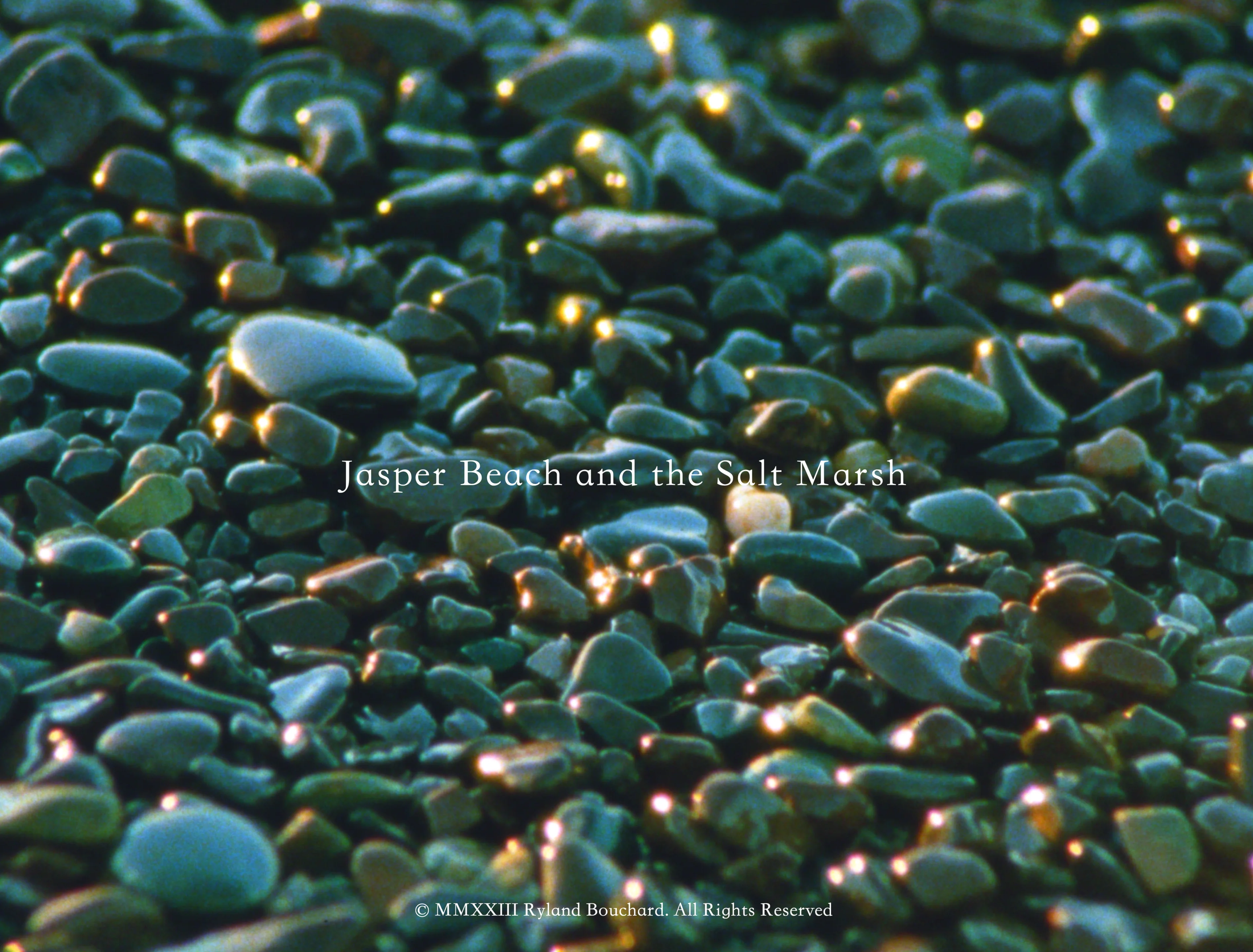 Jasper Beach and the Salt Marsh (16mm, trailer) on Vimeo