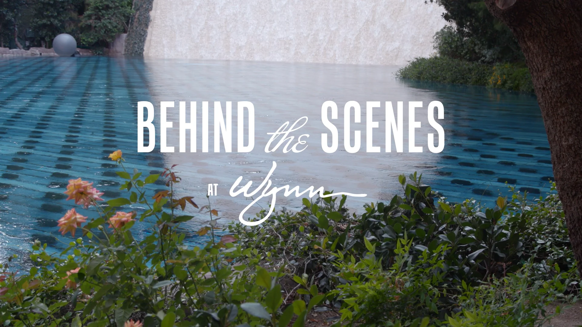 Behind the Scenes at Wynn | Lakeside Dry Aged Tuna