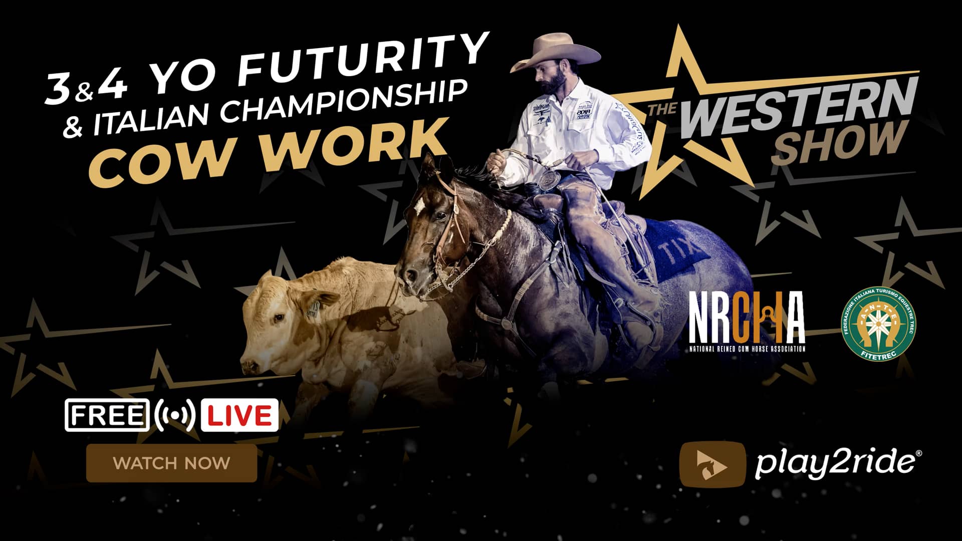 Western Show a Cremona - WORKING COW on Vimeo