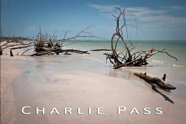 Charlie Pass on Vimeo