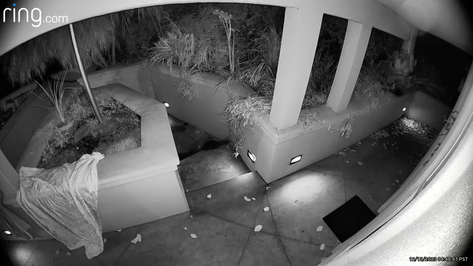 Ring_559190308_2103_7312060390045201197